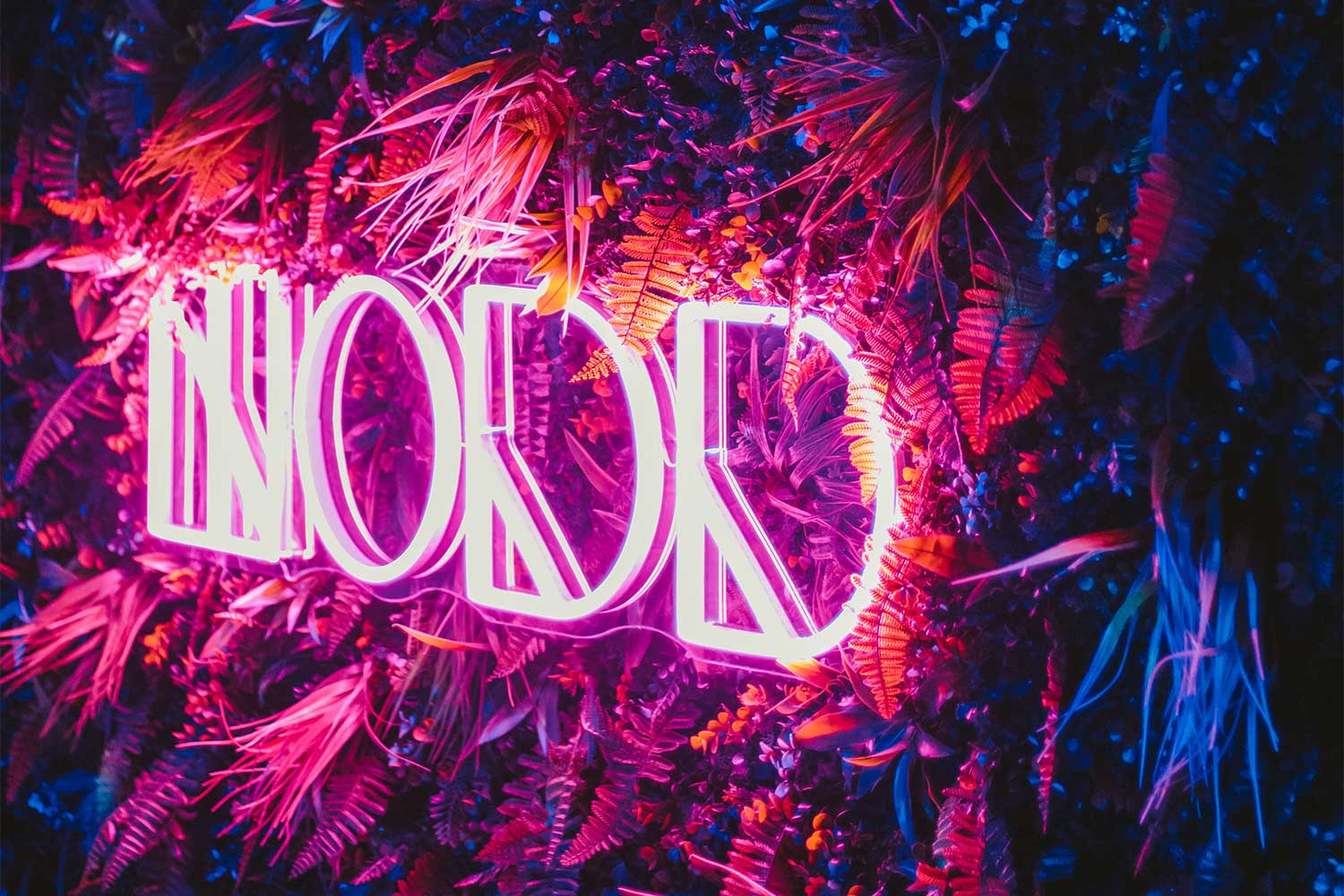 Nodd - Oxygen La Défense